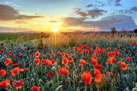 HDR Editing Software To Create Genuine Bit TIFFs