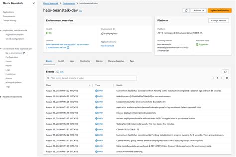 Step By Step Guide Deploying Asp Net Api To Aws Elastic Beanstalk