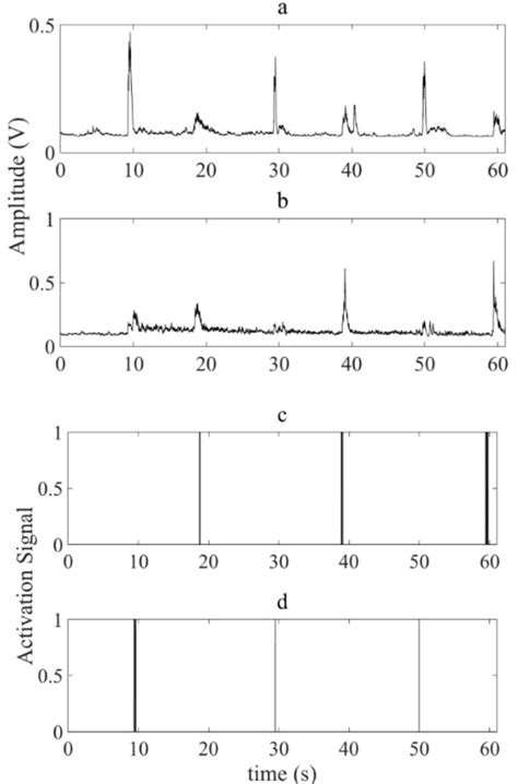 Myoelectric Signals A Flexor Muscle B Extensor Muscle