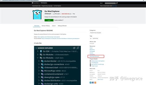 vscode code server 怎么看go依赖、go mod的源码go语言推荐vscode插件 知乎