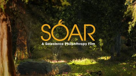 Neeraj Kumar Madad On Linkedin Soar A Salesforce Philanthropy Film