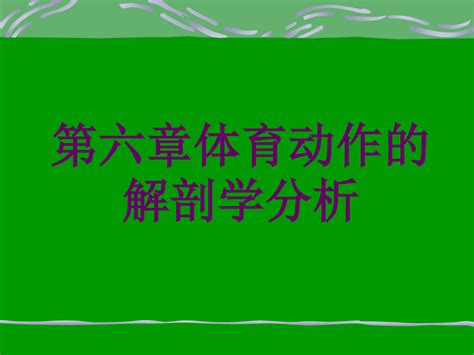 运动系统 动作技术分析 课件 Word文档在线阅读与下载 无忧文档