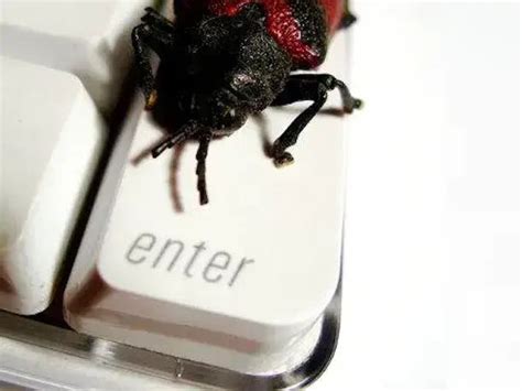 Microsoft Fixes Two Windows Vulnerabilities Exploited In Attacks