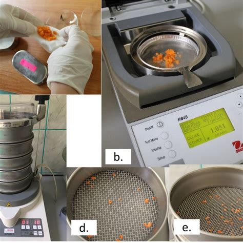 Workflow With Main Operational Steps A Food Bolus Collected Just