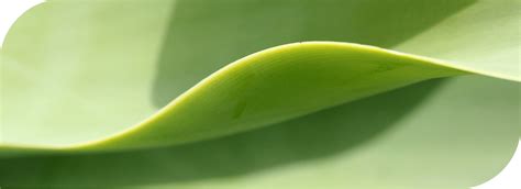 Csg Skills Employees Of The Month Jan Feb 2021 Csg Group