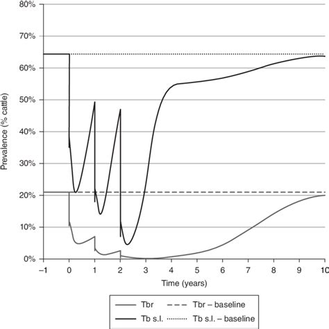 8 Outputs From The Framework Linking The Epidemiology And Economics Of Download Scientific