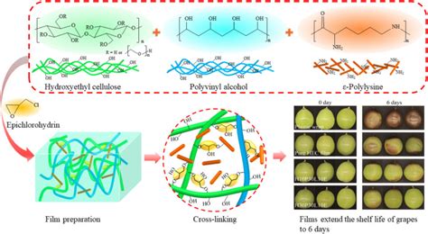Development Of Functional Hydroxyethyl Cellulose Based Composite Films