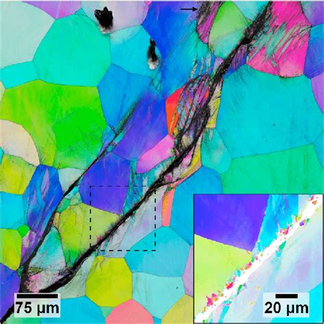 The Deformed Microstructure Of An Intact Recovered Scs Samples Was