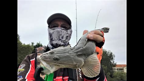 Soft Plastics Fishing for Bream Flathead & Trevally on the Coomera River - YouTube