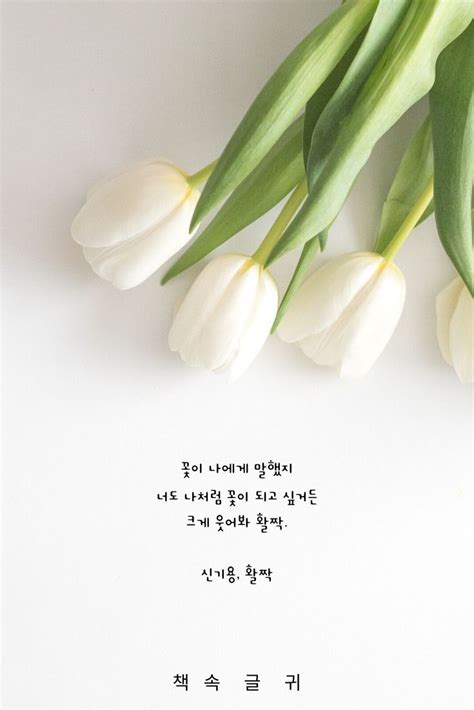 크게 웃어봐 활짝 사랑 문신 손글씨 최고의 명언