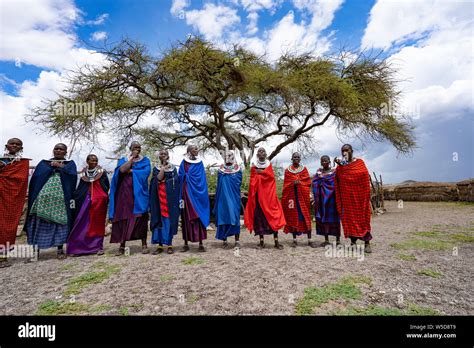 Traditional Masai Jumping Dance At A Masai Village Tanzania East