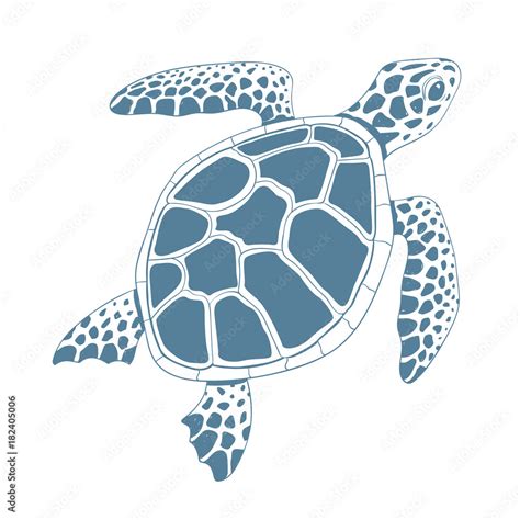 Graphic Turtle Vector Illustration Stock Vector Adobe Stock