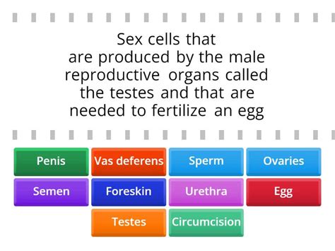 Sex Education Find The Match