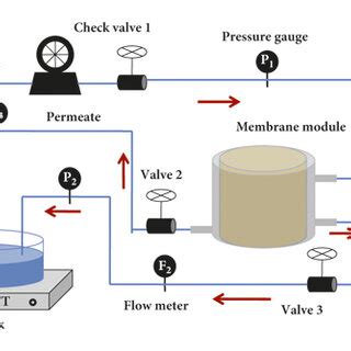 Schematic Illustration Of The RO System Download Scientific Diagram