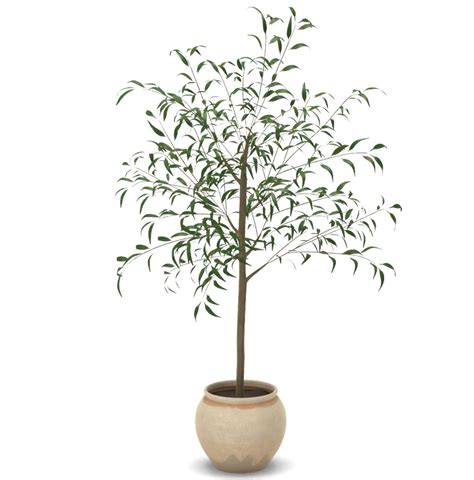 Artificial Weeping Eucalyptus Tree In Pot Spacejoy
