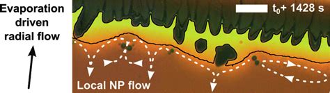 Formation Of A Convection Cell Like Flow Pattern At The Heterogeneous