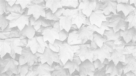 Autumn Inspired Wall Decor A Faded Leaf S Background Amplifies The