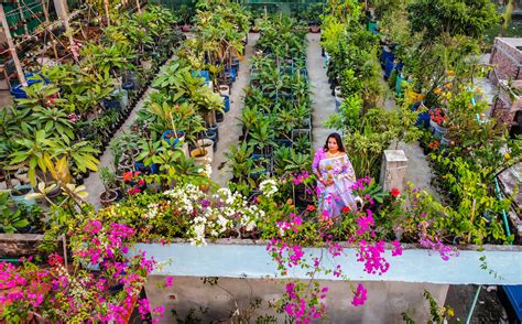 Plantera Bd Plantera Bd Added A New Photo