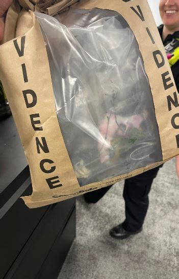 Sex Workers Use Our Local Park To Meet Seedy Clients Even Though Its Next To A Primary Babe