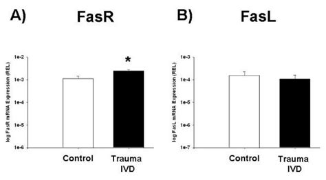 Mrna Expression Levels Of The Fas Receptor Fasr And Fas Ligand Fasl Download Scientific