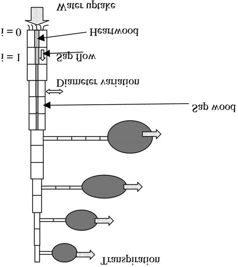 schematic illustration of the modeled tree download scientific diagram