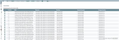 《数据同步 Nifi系列》nifi配置updateattribute实现字符串时间戳转日期nifi Updateattribute Csdn博客