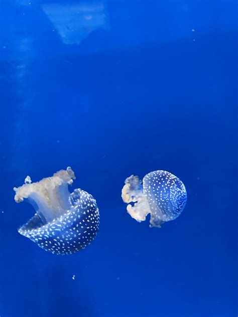 Captivating Examples Of Parametric Architecture As Shared By This Platform For Enthusiasts