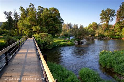 Pine River Park A Tranquil Oasis