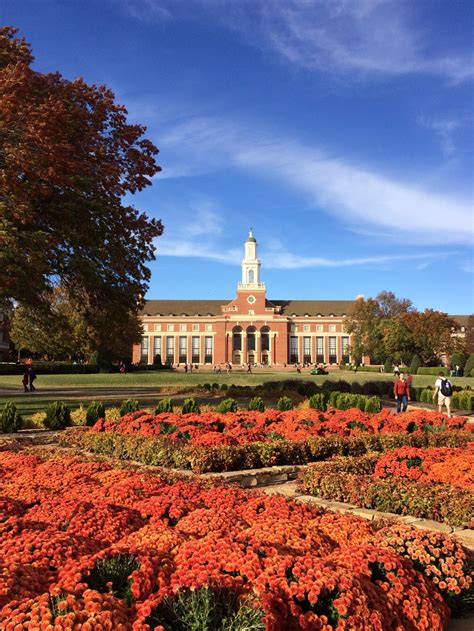 What Majors Is Oklahoma State University Known For At Carol Byrne Blog