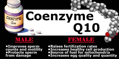 Coenzyme Q Botanicals One