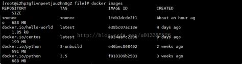 快速入门docker 用docker搭建python的开发环境 docker python csdn博客