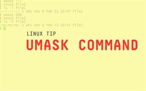 umask trong linux tìm hiểu Ứng dụng và tối ưu hóa quyền truy cập hệ thống