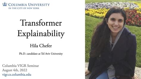dudi david hefer on linkedin hila chefer transformer explainability