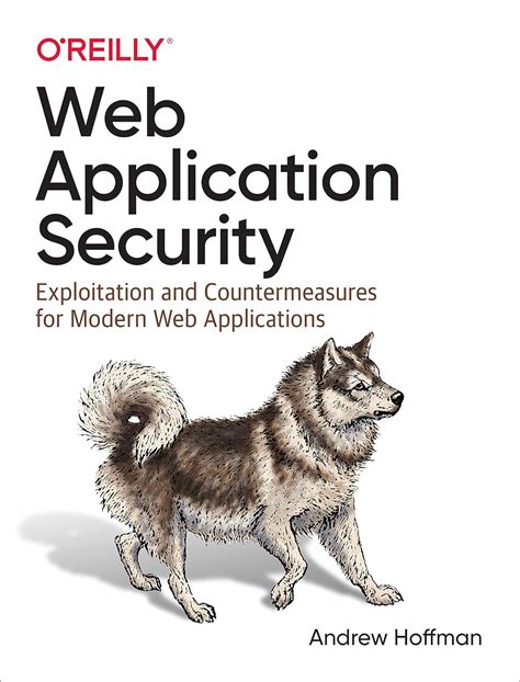 Amazon Com Web Application Security Exploitation And Countermeasures For Modern Web