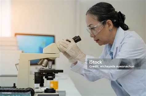 의료 개발 실험실 현미경으로 보이는 여성 과학자 페트리 접시 샘플을 분석 의학 생명 공학 연구를 수행하는 전문가와 배경 큰 제약 연구소에서 Stem 주제에 대한 스톡 사진