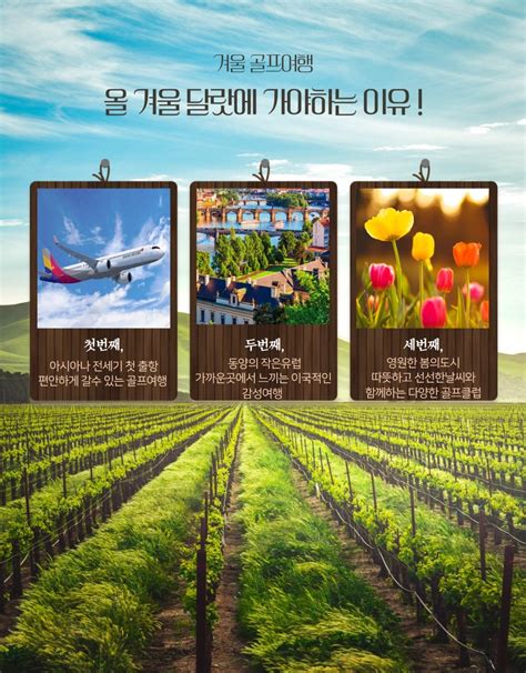 겨울 베트남 달랏 골프 여행 아시아나항공 전세기 타고 떠나자~ 네이버 블로그