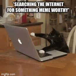 Searching Computer 