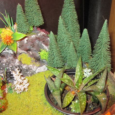 Овощен разсадник Сейков и син Home Facebook