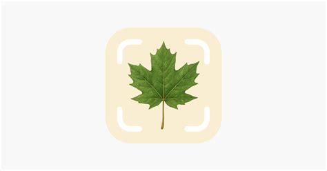 ‎tree Identifier By Treepic On The App Store