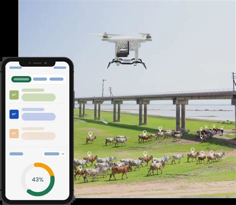 Smart Cattle Counting Software Powered By Computer Vision And Ai