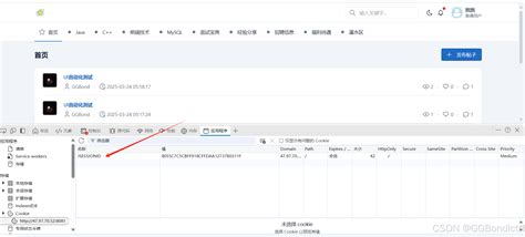 【自动化测试】如何获取cookie，跳过登录的简单操作自动获取cookie Csdn博客