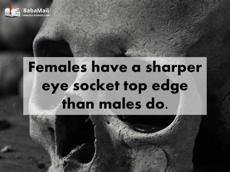 25 Biological Differences Between Males And Females