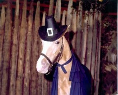 Mister Ed Classic Television Revisited Photo Fanpop