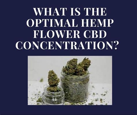 Cbgenius The Optimal Cbd Concentration In Cbd Flower