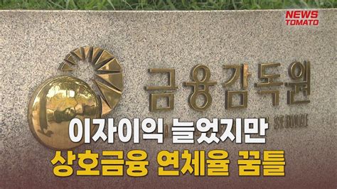 상호금융 이익 늘었지만 연체율 꿈틀 말하는 기자들경제 And 금융0322 Youtube