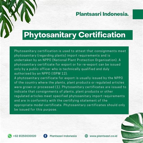 What Is A Phytosanitary Plantsasri Indonesia