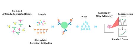 Ecoplextm Multiplex Kits Elabscience