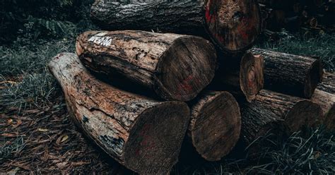 Step By Step Guide To Adding Logging To An Actix Web Application