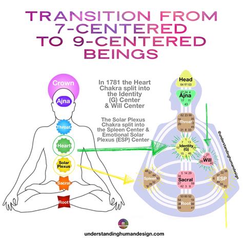 what do the human design circuits mean artofit