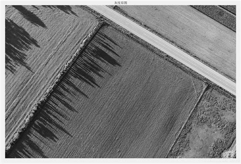 Matlab实现基于hough变换的直线检测算法采matlab用hough变换进行直线检测。 Csdn博客